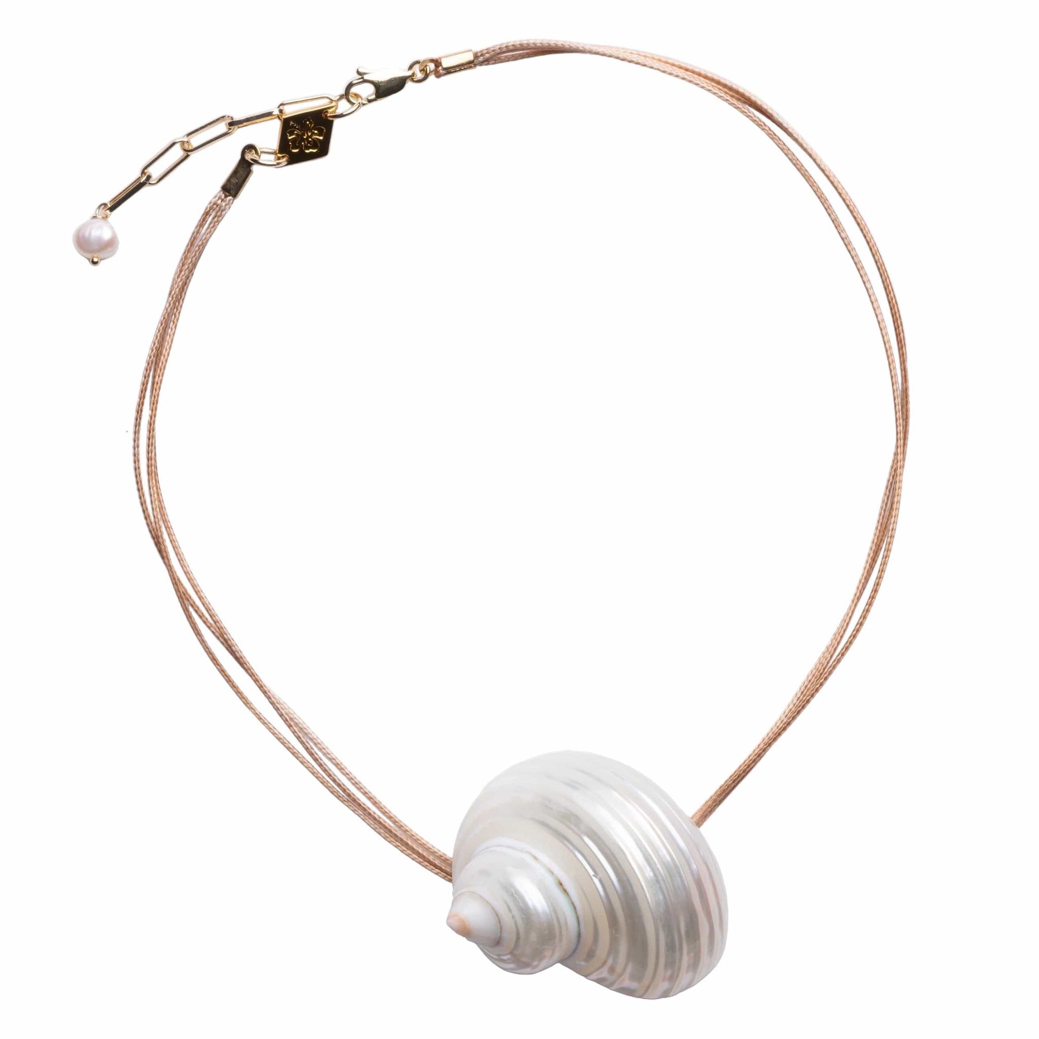 Lucia Shell Necklace