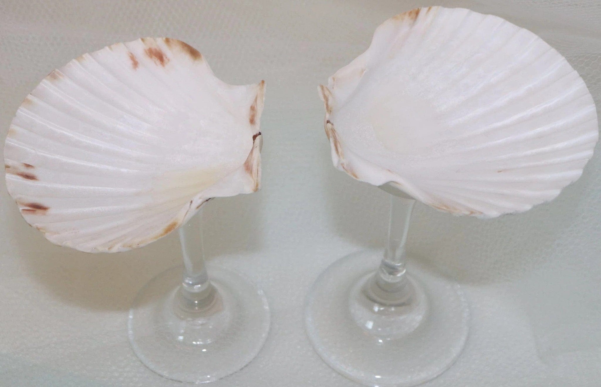 Martini Shell Glass