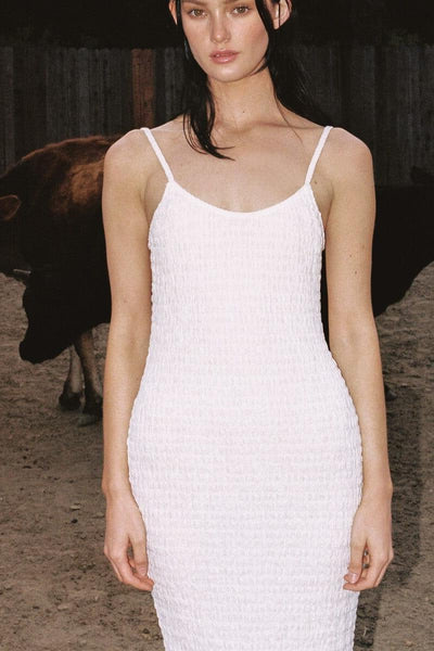 Seychelles Sheeth Dress