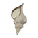 Conch Candle